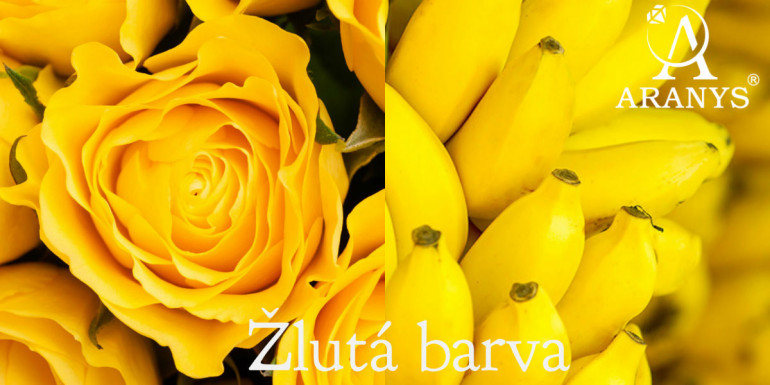 Žlutá barva | aranys.cz